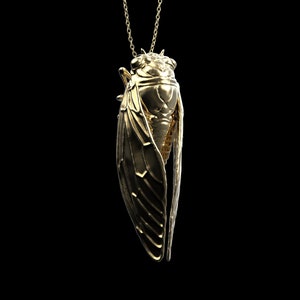 Bronze Cicada Necklace Pendant, Cicada Jewelry, Bug Jewelry, Insect ...