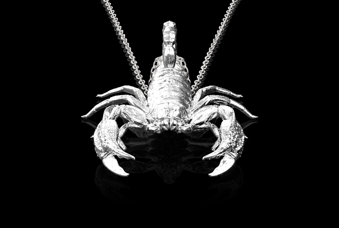 Sterling Silver Scorpion Pendant Necklace, Scorpion Jewelry, Zodiac ...