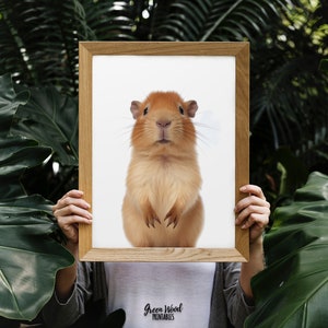 Capybara Gift Printable Baby Capybara Head Picture Nursery Print ...