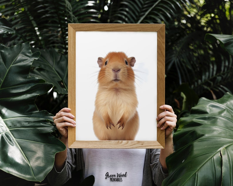 Capybara Gift Printable Baby Capybara Head Picture Nursery Print ...