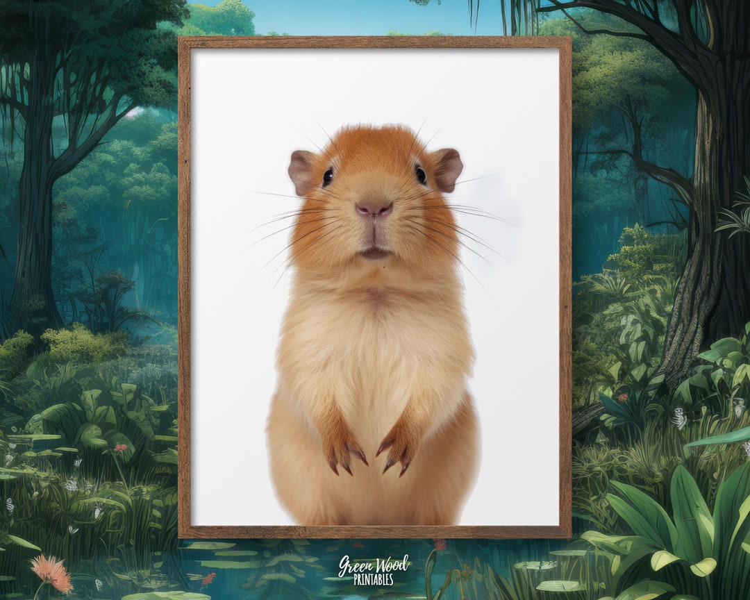 Capybara Gift Printable Baby Capybara Head Picture Nursery Print ...