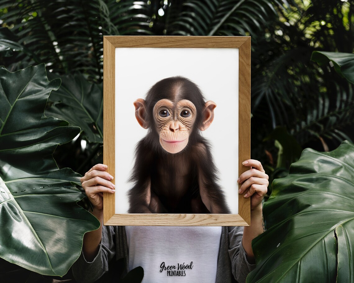 Printable Baby Chimpanzee Nursery Print, Chimp Poster Safari Nursery ...