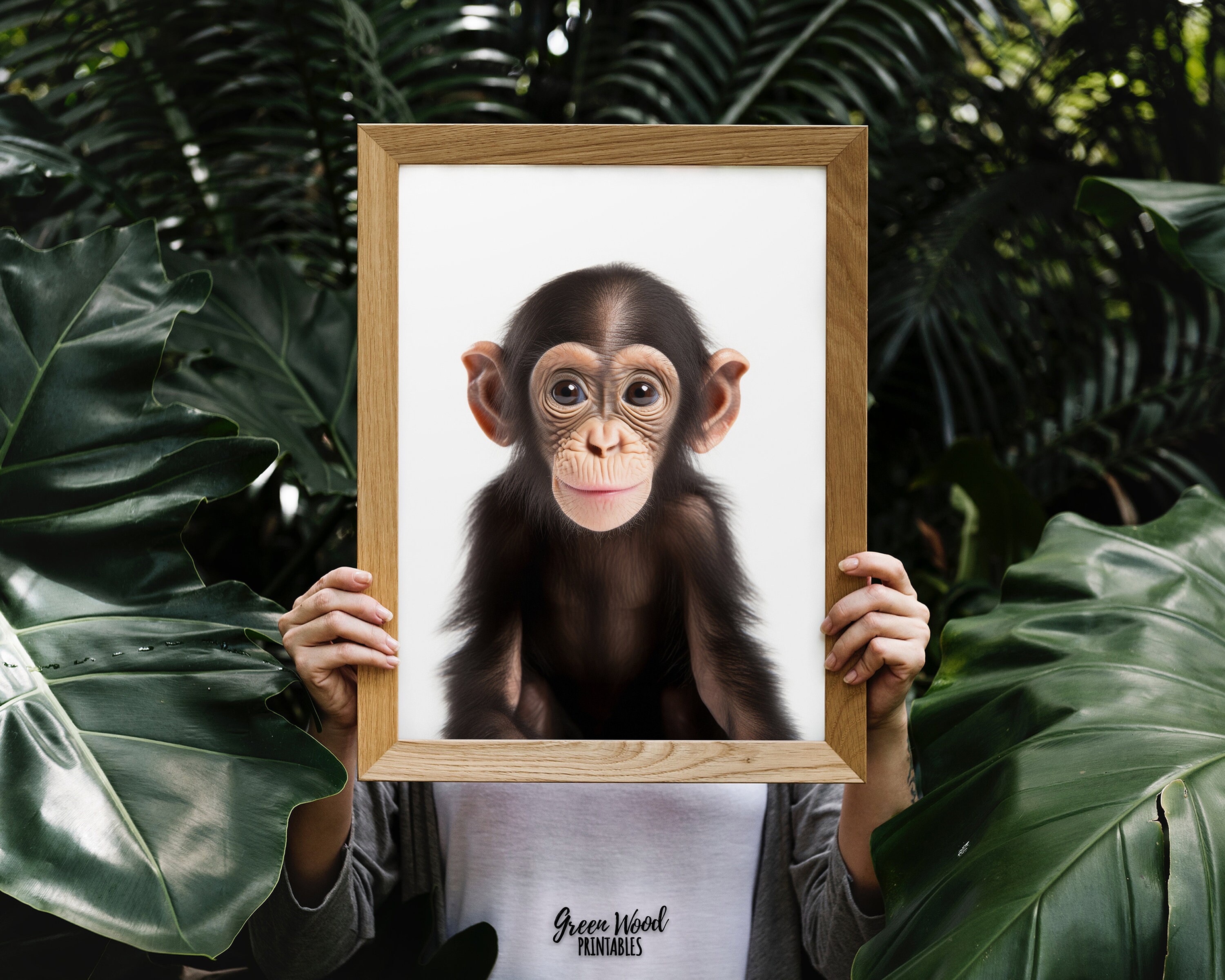 Printable Baby Chimpanzee Nursery Print Chimp Poster Safari - Etsy
