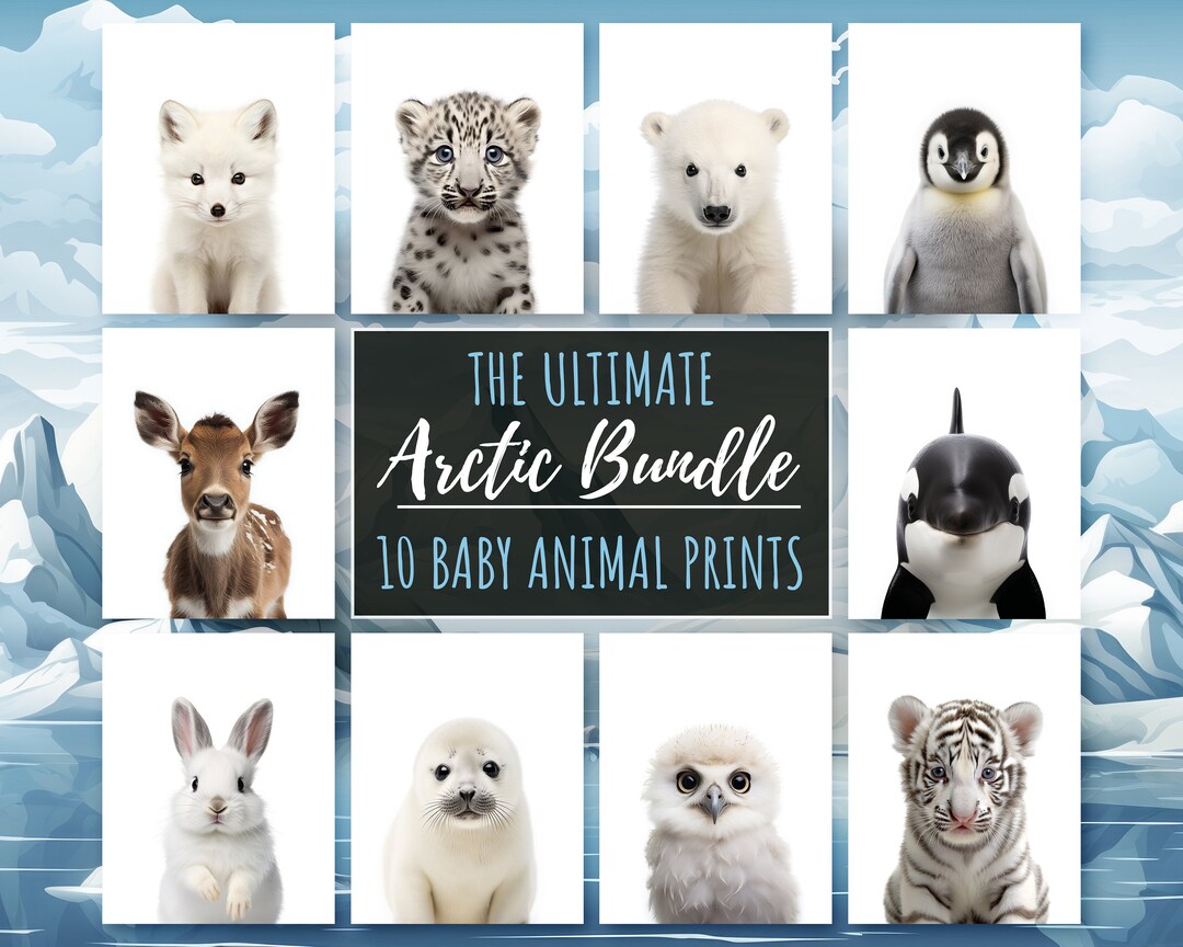 Arctic Animals Nursery Prints, Penguin Baby Shower Decorations, Nursery ...