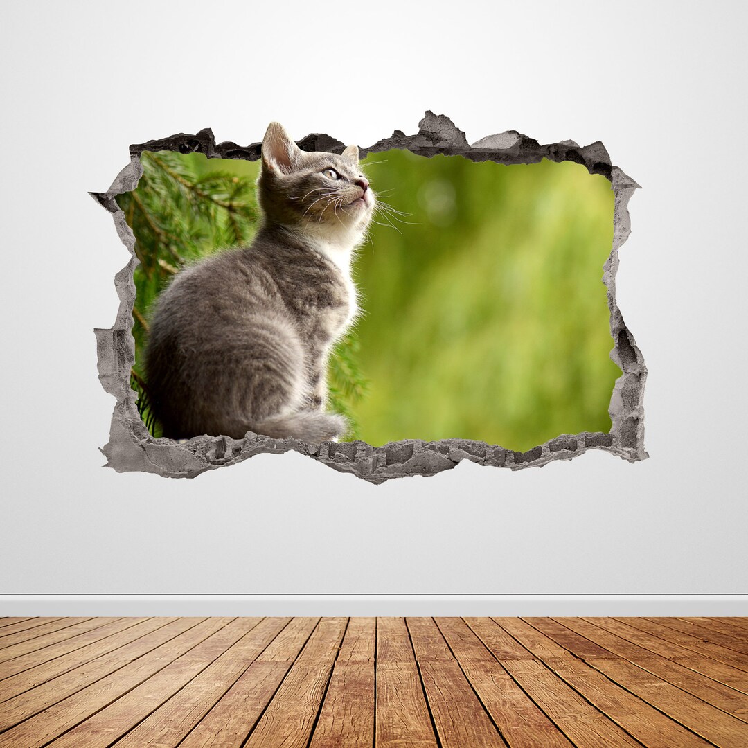 Cat Wall Decal Smashed 3D Graphic Animal Wall Art Sticker Mural Poster ...