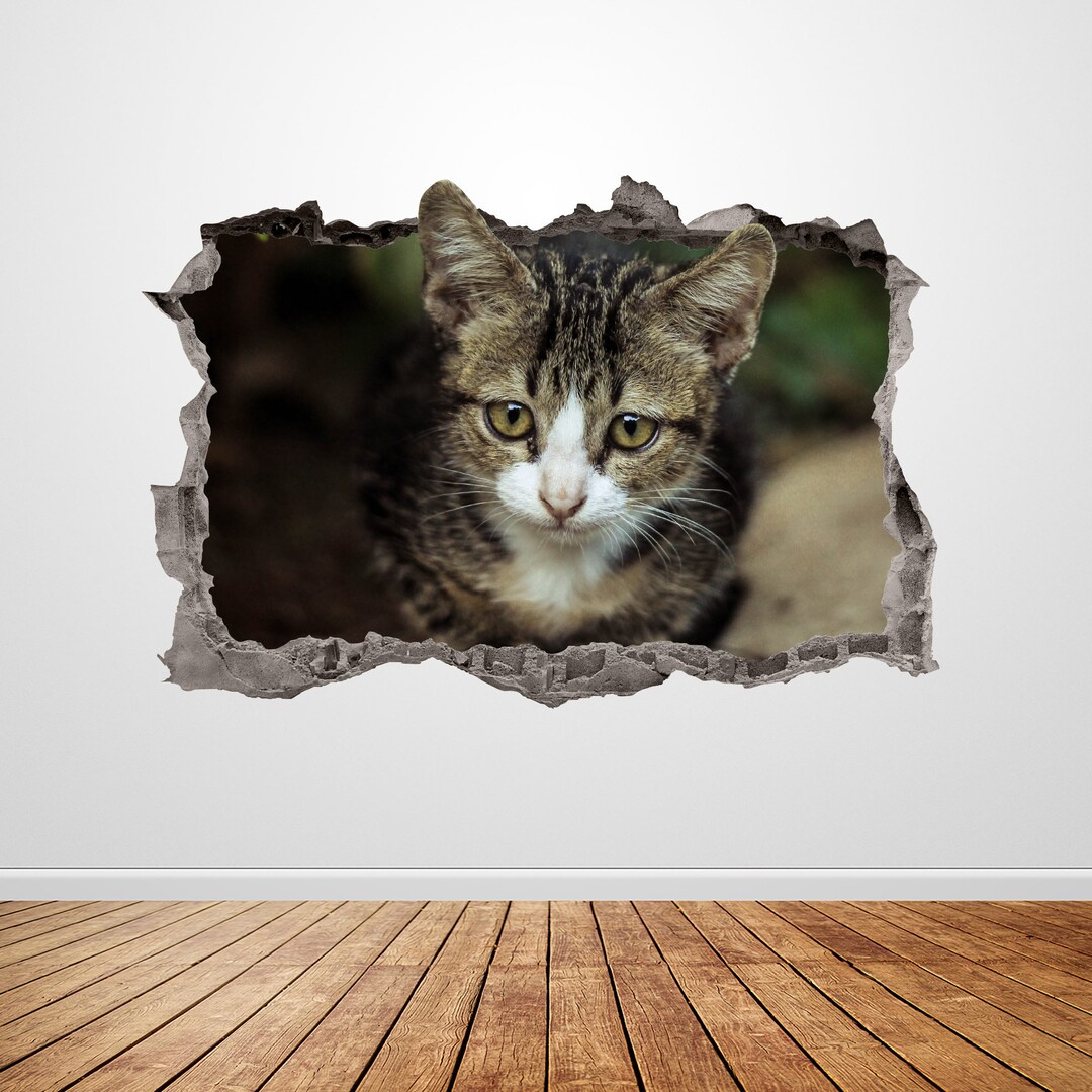 Cute Cat Wall Decal Smashed 3D Graphic Animal Wall Art Sticker Mural ...