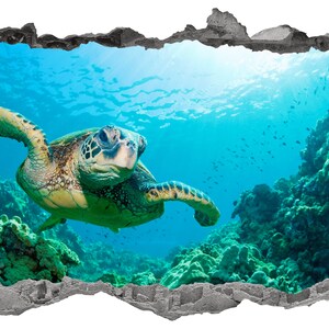 Sea Turtle Wall Decal Smashed 3D Graphic Ocean Animal Wall Art Stickers ...