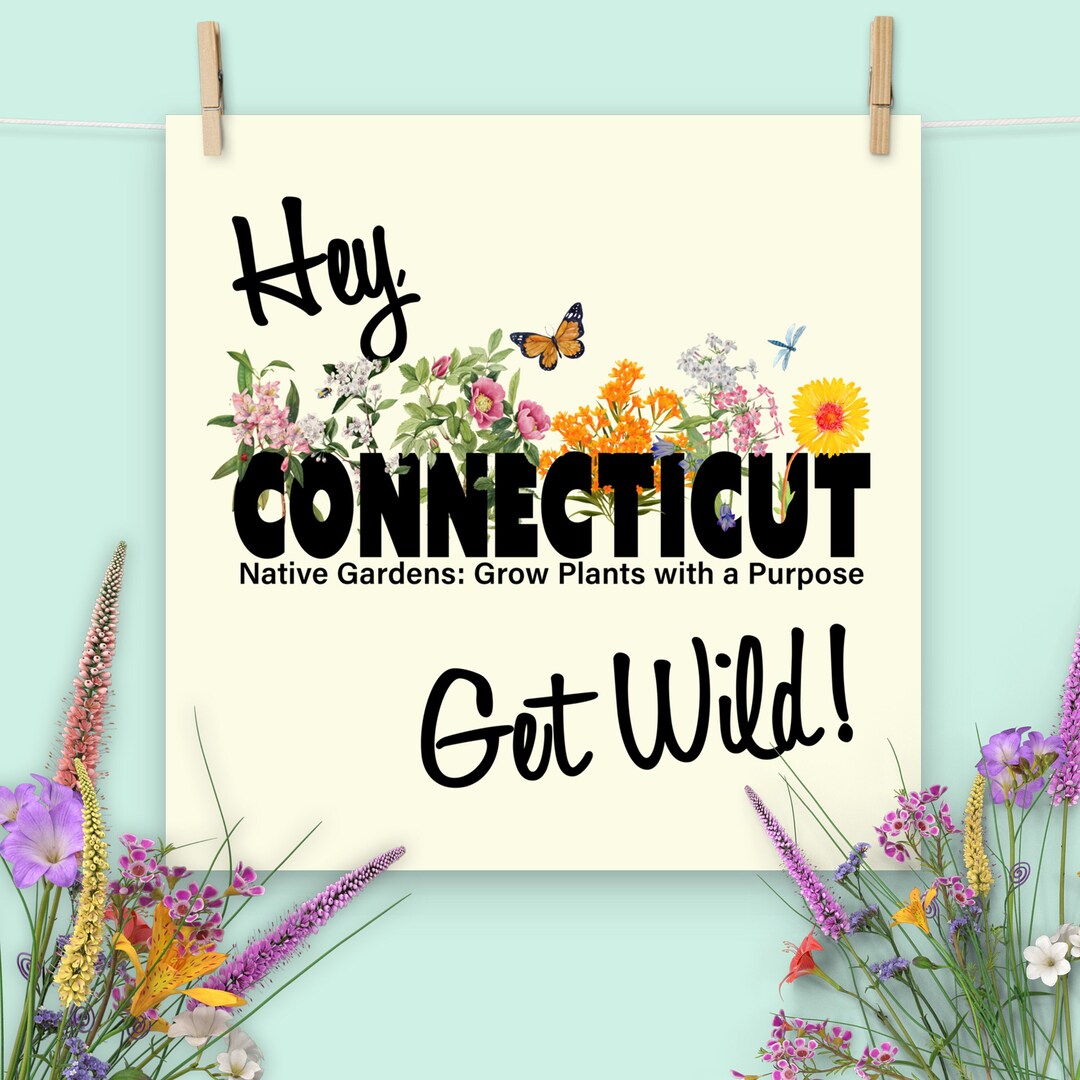 Connecticut Wildflowers Unframed Poster. Native Gardens: Plant With ...