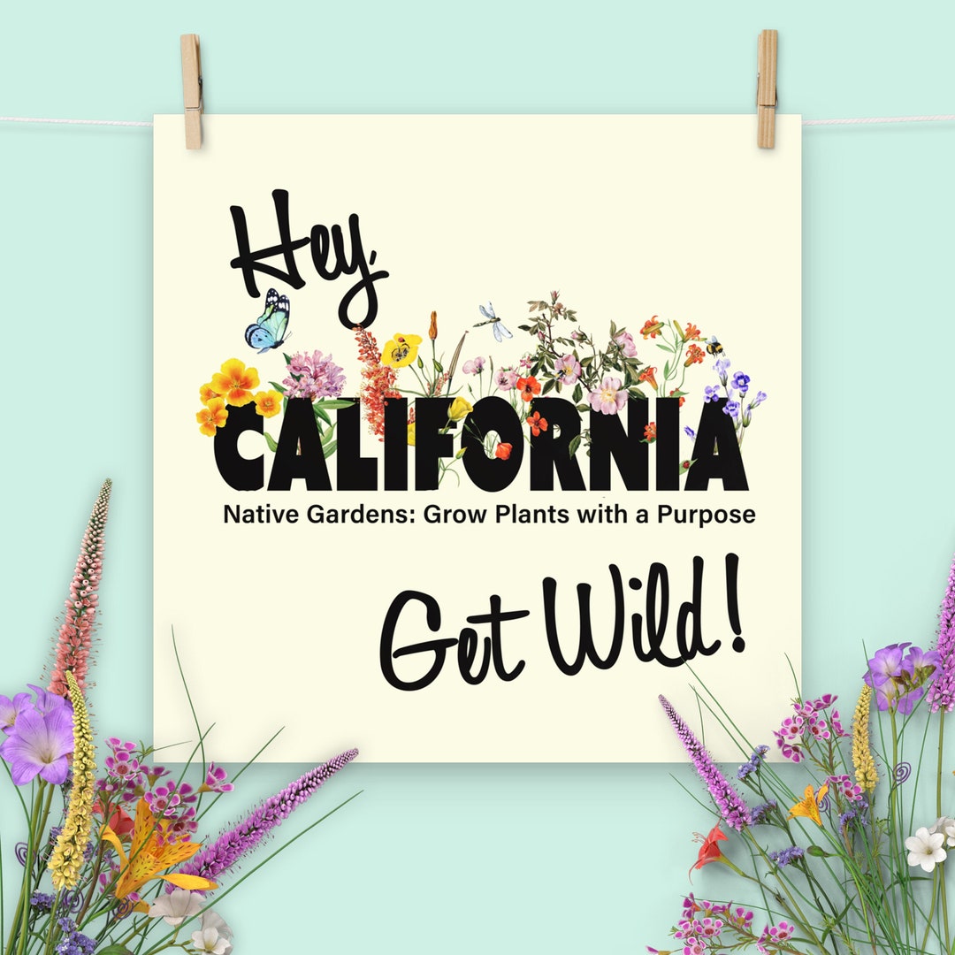 California Wildflowers Unframed Poster. Native Gardens: Plant With ...