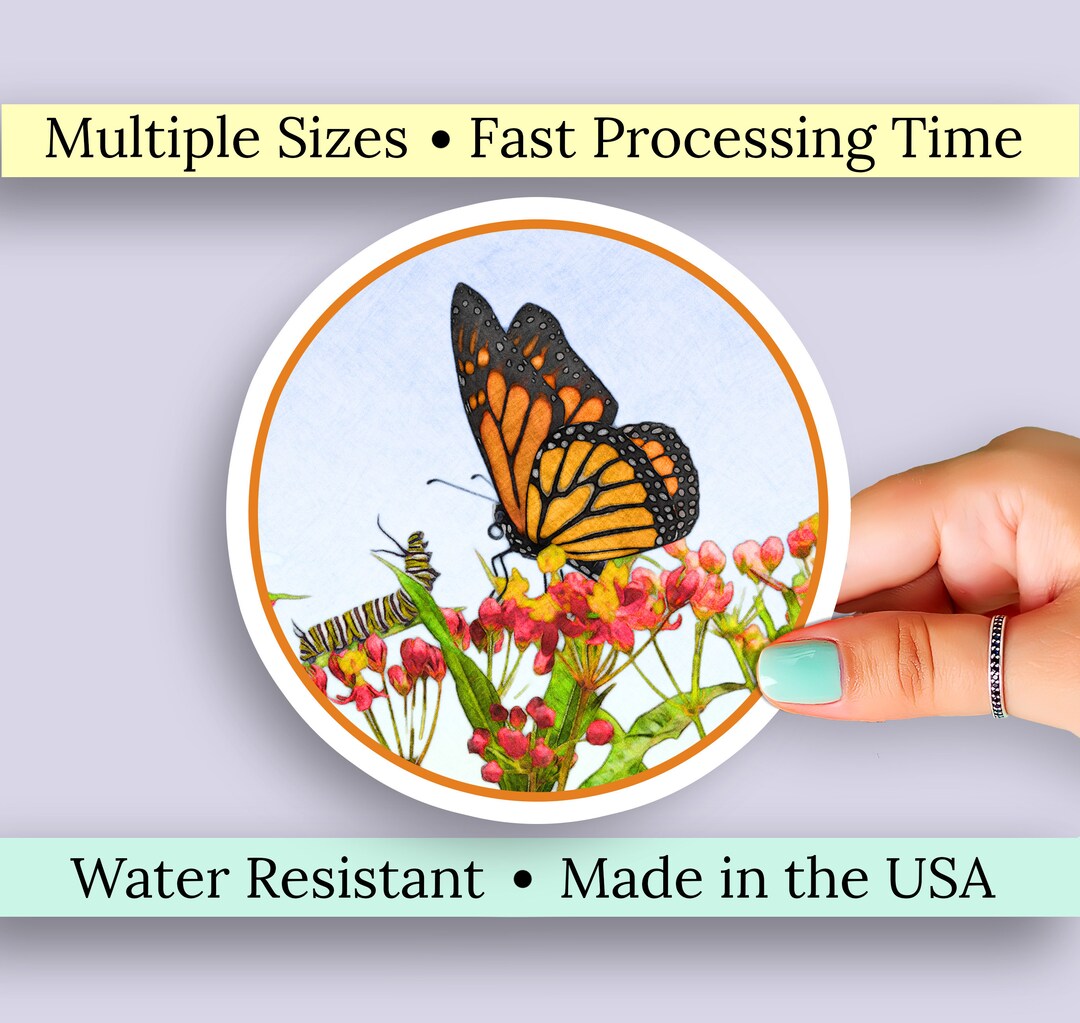 Cute Monarch Butterfly and Monarch Caterpillar Laptop Sticker. Sketched ...