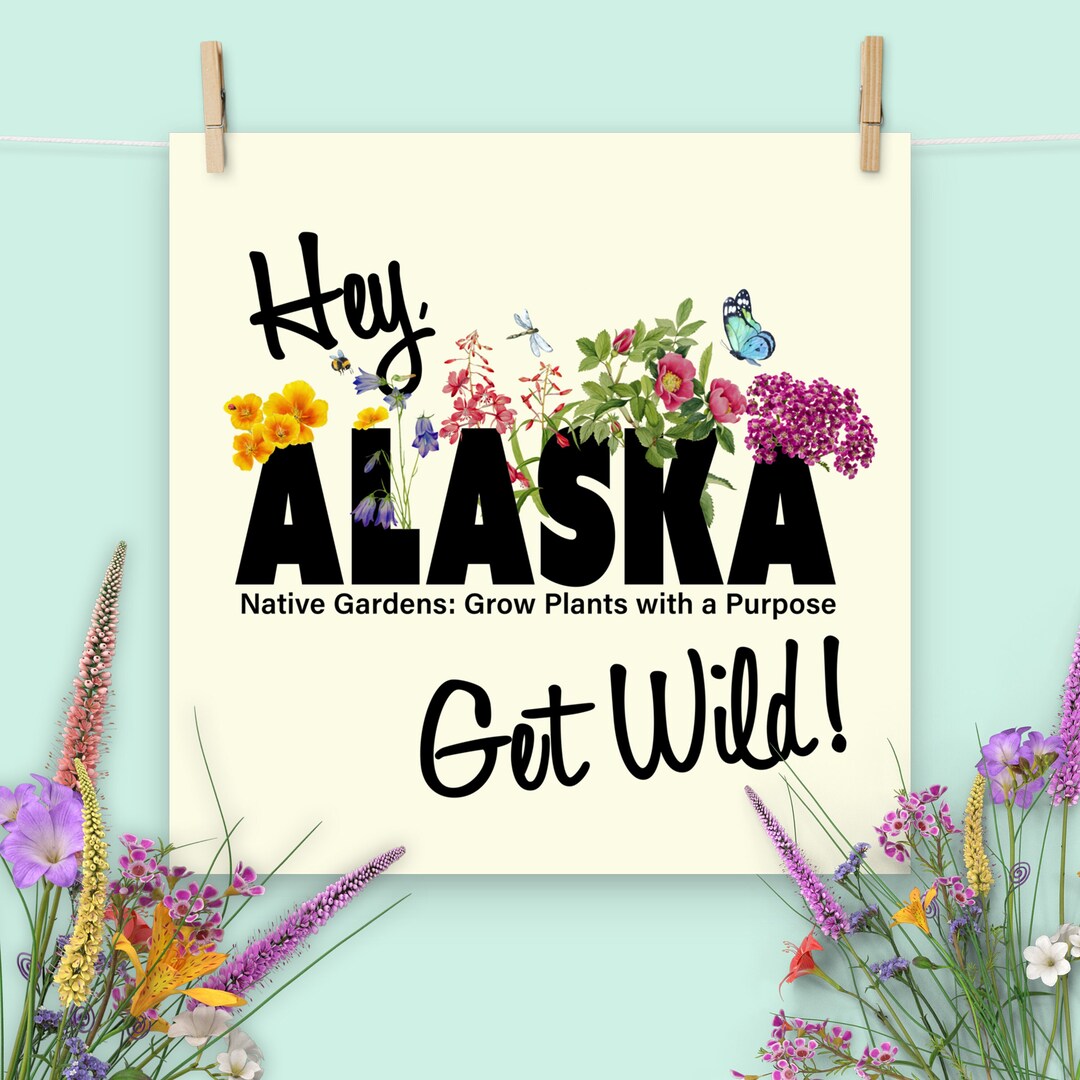 Alaska Wildflowers Unframed Poster. Native Gardens: Plant With a ...