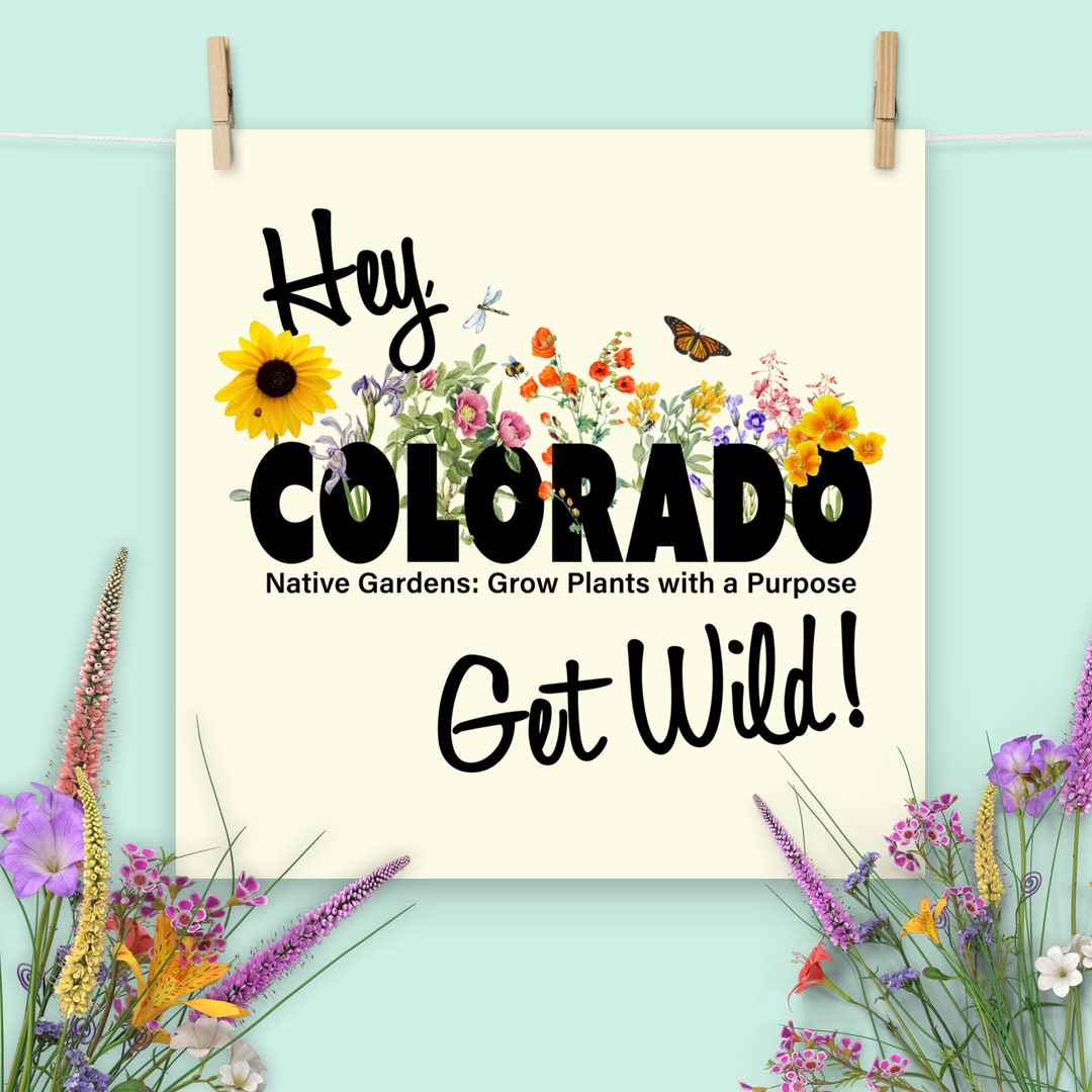 Colorado Wildflowers Unframed Poster. Native Gardens: Plant With ...
