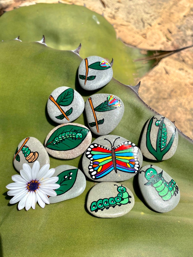 Butterfly Life Cycle Easter Story Stones Montessori - Etsy