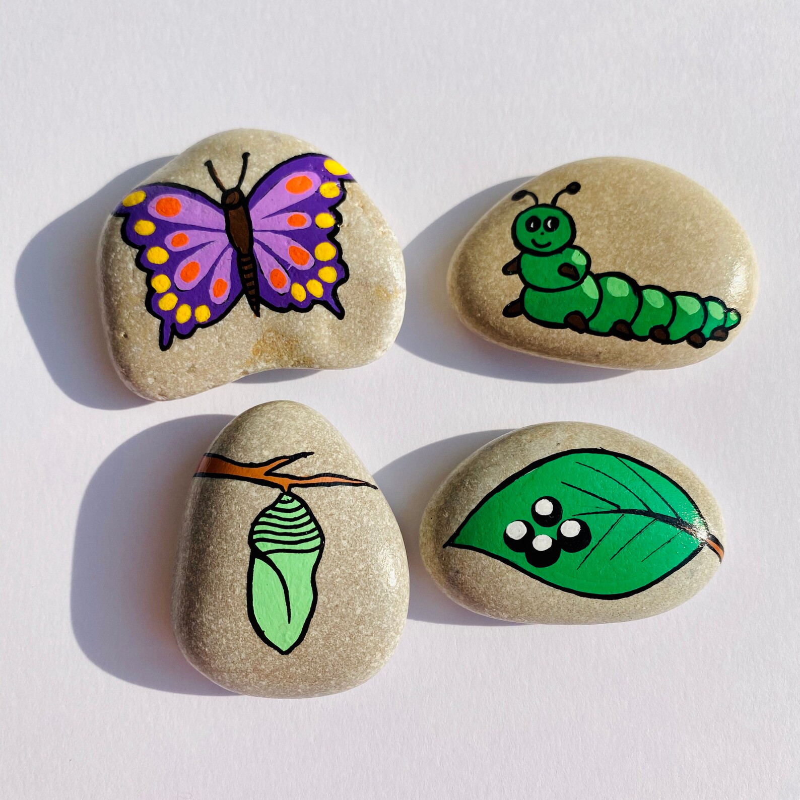 Butterfly Life Cycle Story Stones Preschool Science - Etsy
