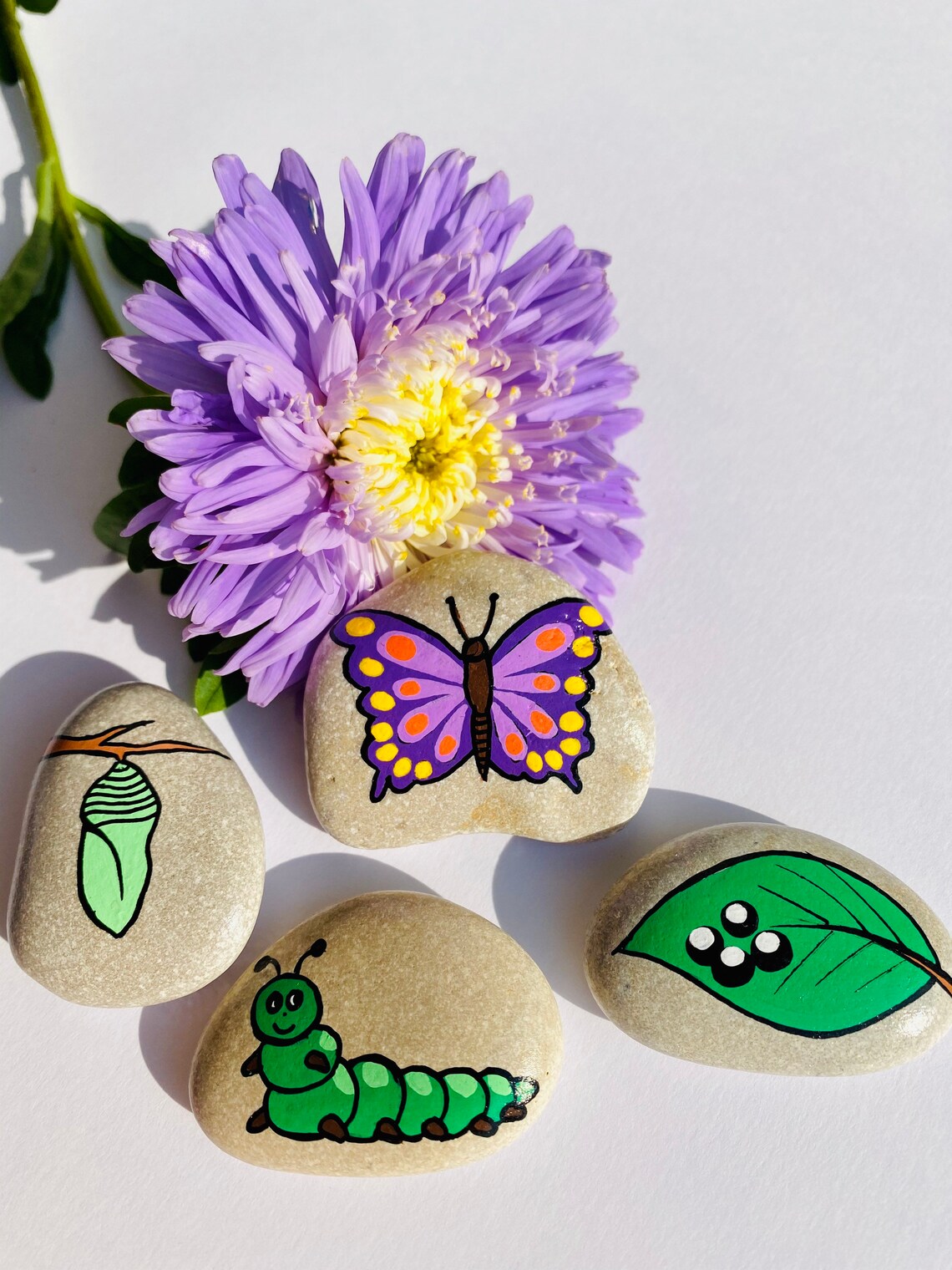 Butterfly Life Cycle Story Stones Preschool Science - Etsy