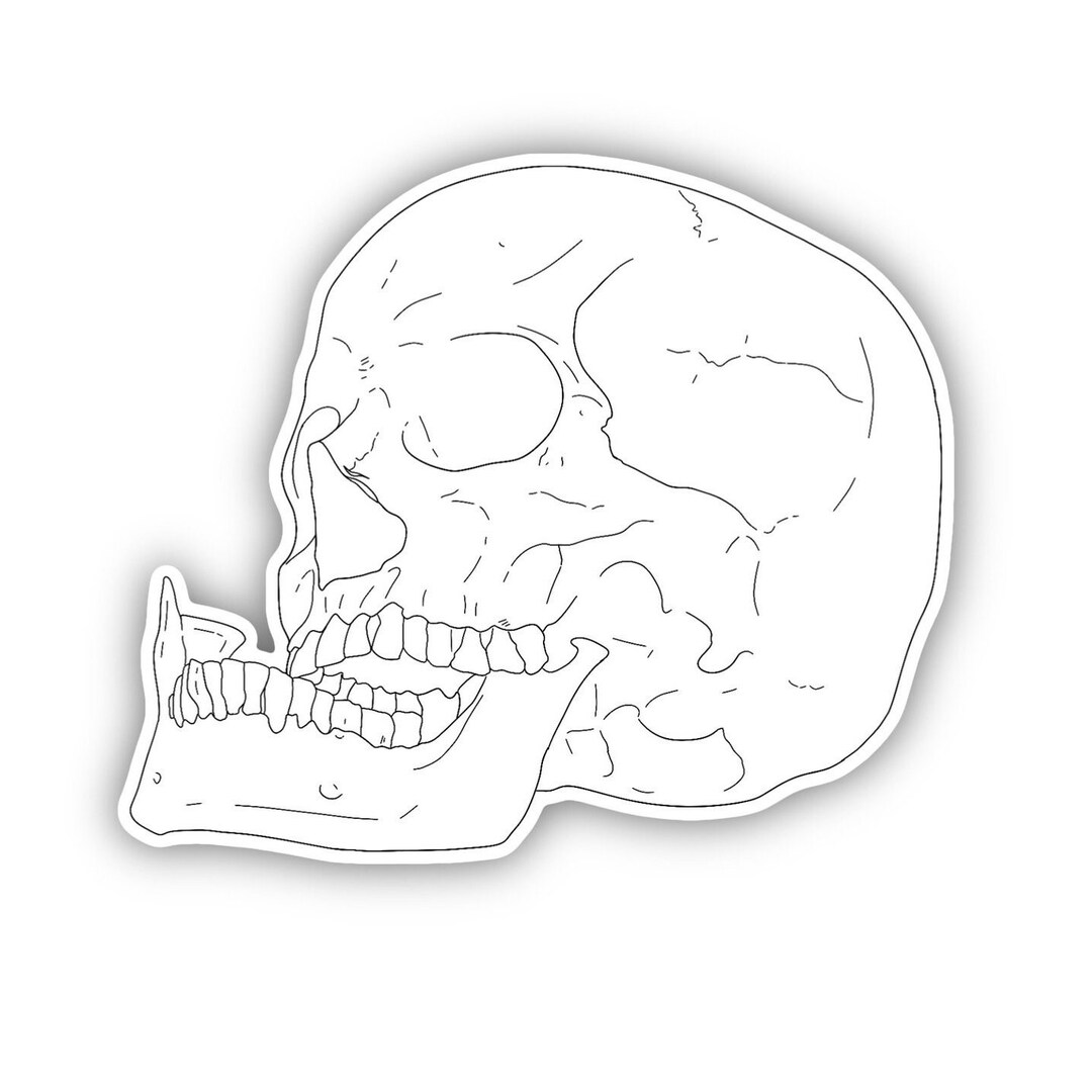 Broken Jaw Skull 3in Vinyl Sticker Etsy broken-jaw-skull-3in-vinyl-sticker-etsy