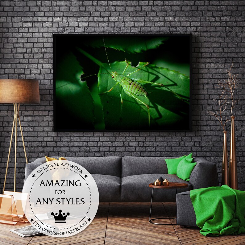 Green Bug on Leaf Macro Digital Download Wall Art Print Printable Room ...