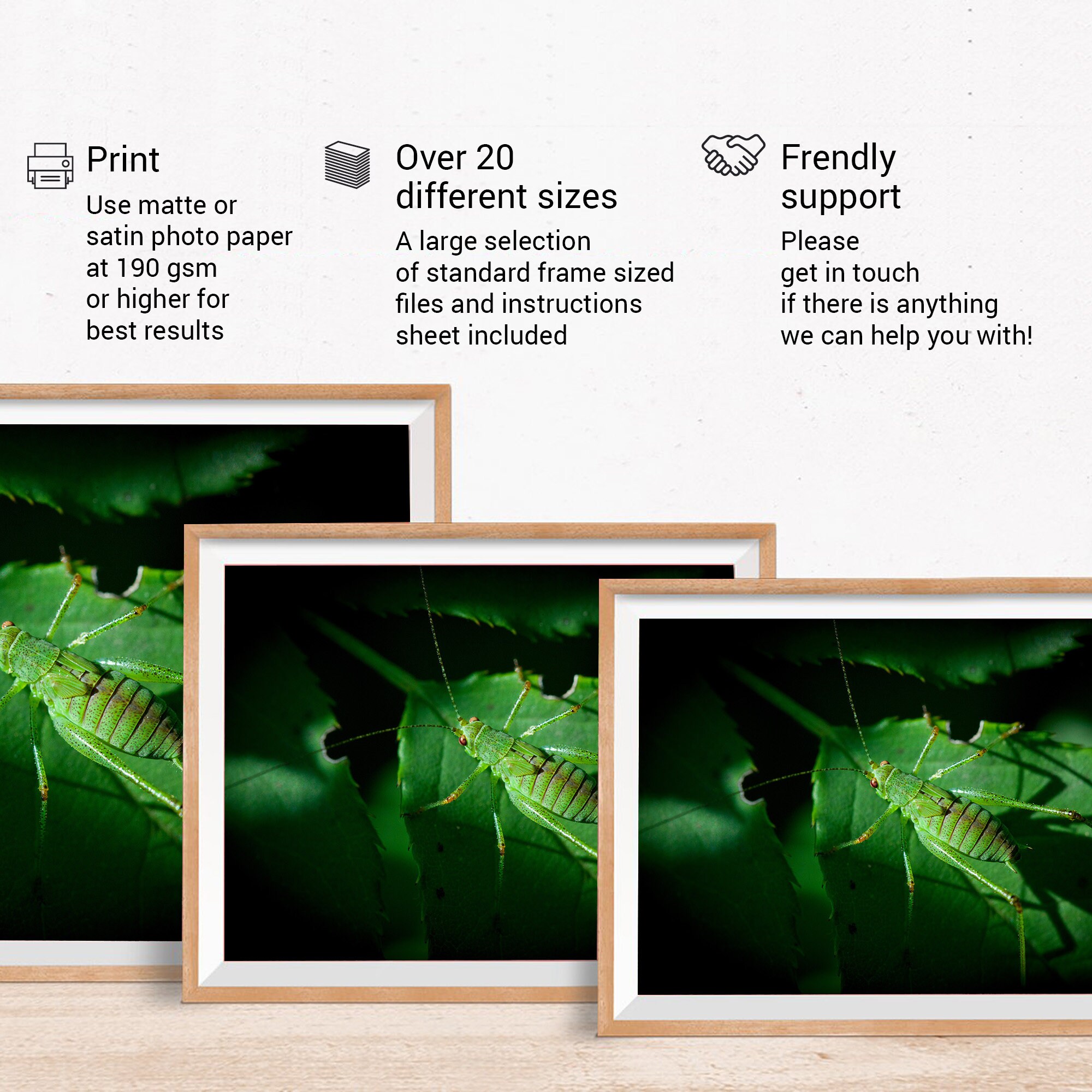 Green Bug on Leaf Macro Digital Download Wall Art Print - Etsy