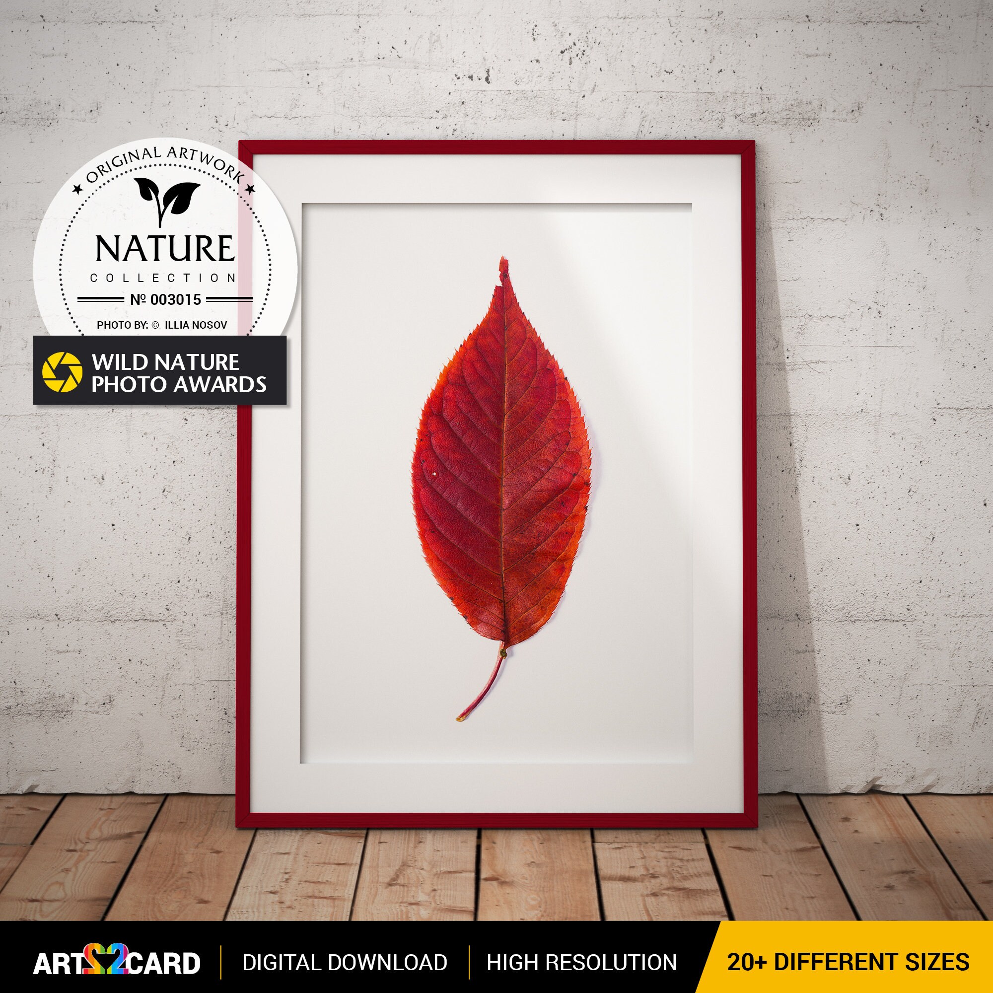 Red Leaf Nature Fall Digital Download Wall Art Print Printable Room ...