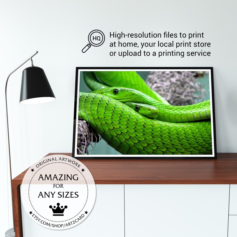 Snake Animal Digital Download Wall Art Print Printable Room Large ...