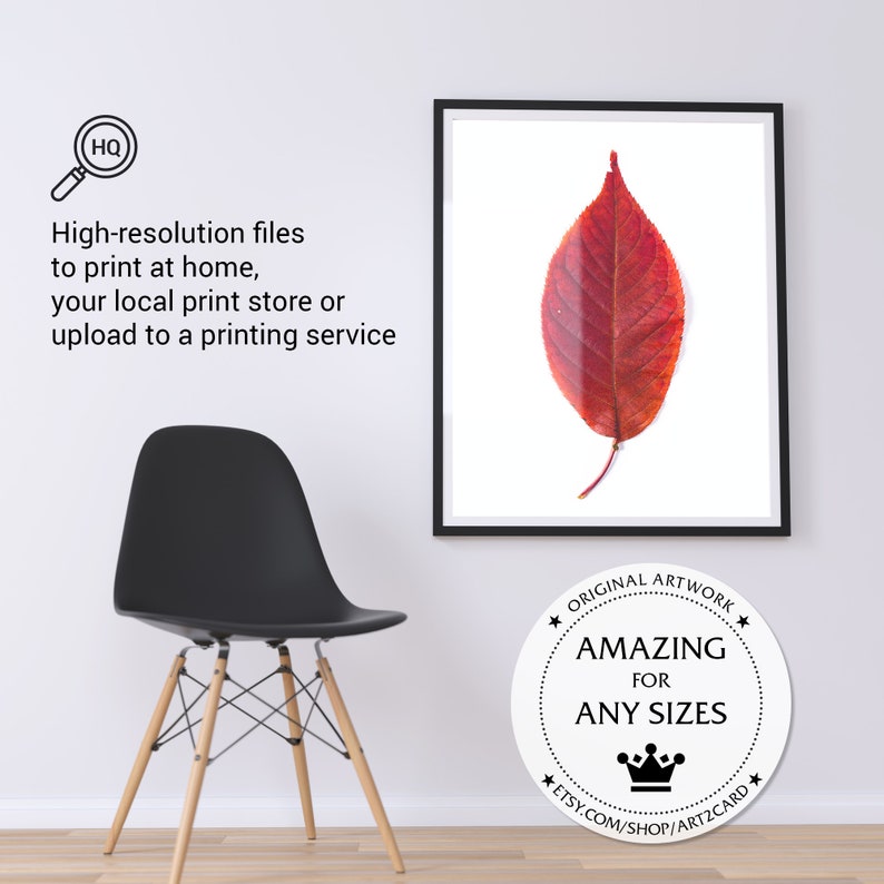 Red Leaf Nature Fall Digital Download Wall Art Print Printable Room ...