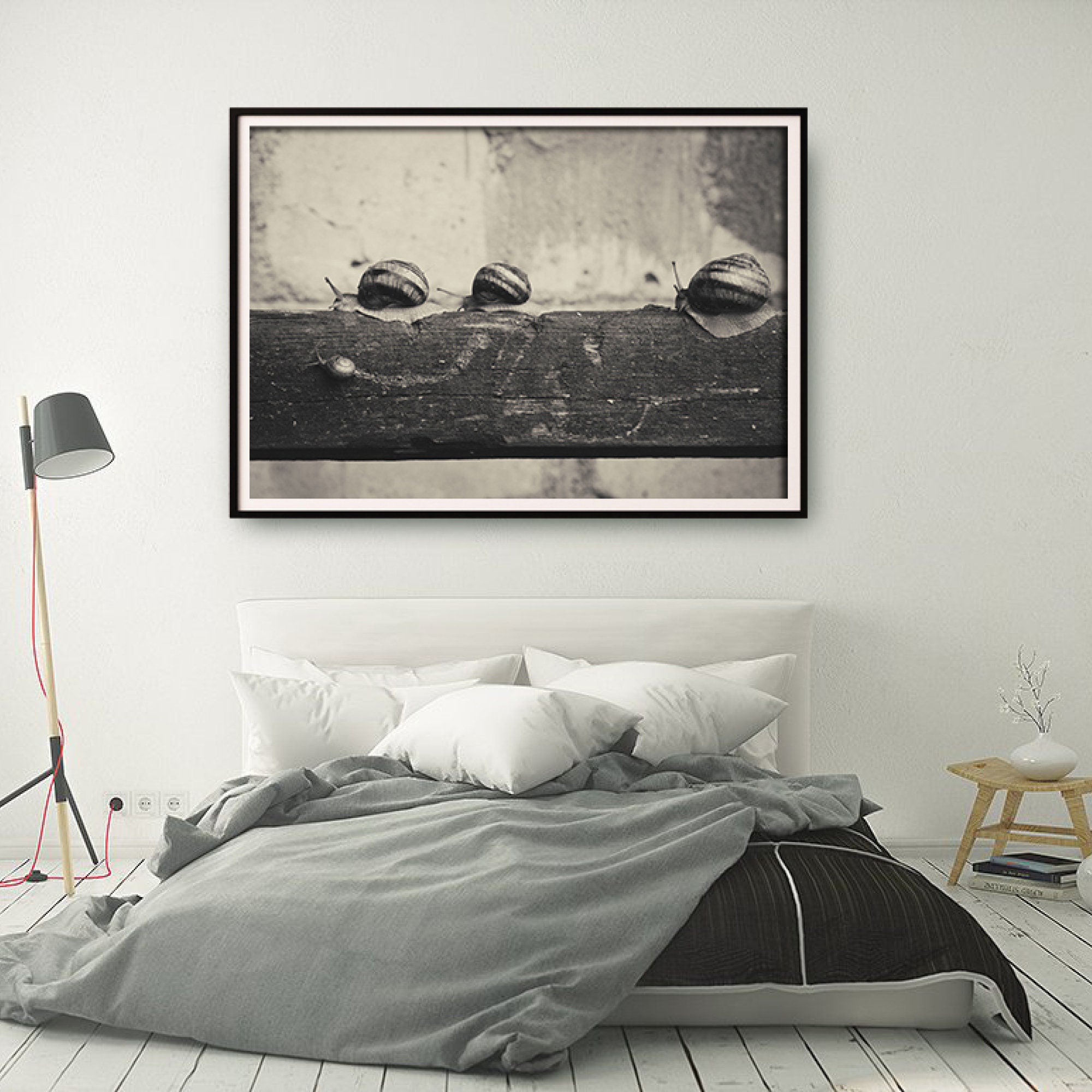 Snails Nature Sepia Wood Macro Humor Big Small Exclusive Souvenir ...