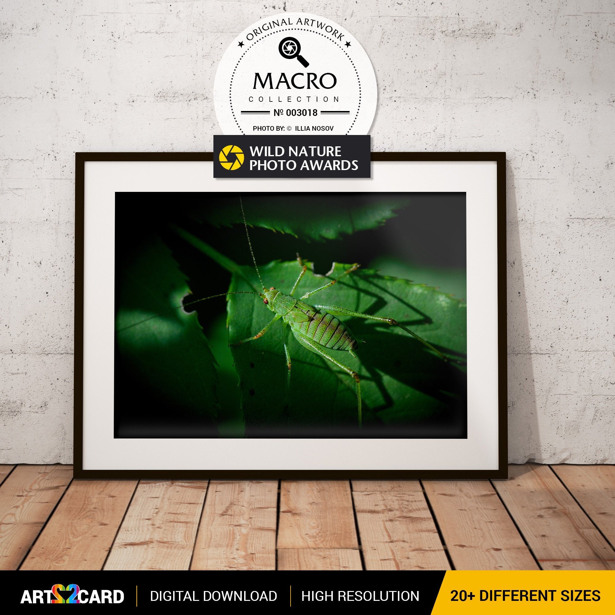 Green Bug on Leaf Macro Digital Download Wall Art Print Printable Room ...