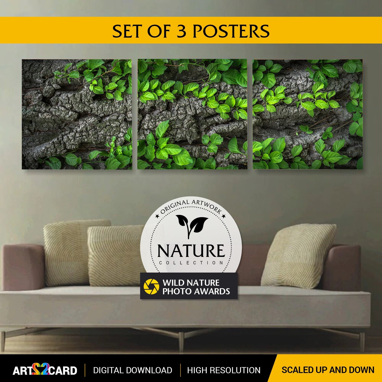 NATURE PRINTS SET of 3 Printable Wall Art Digital Download - Etsy