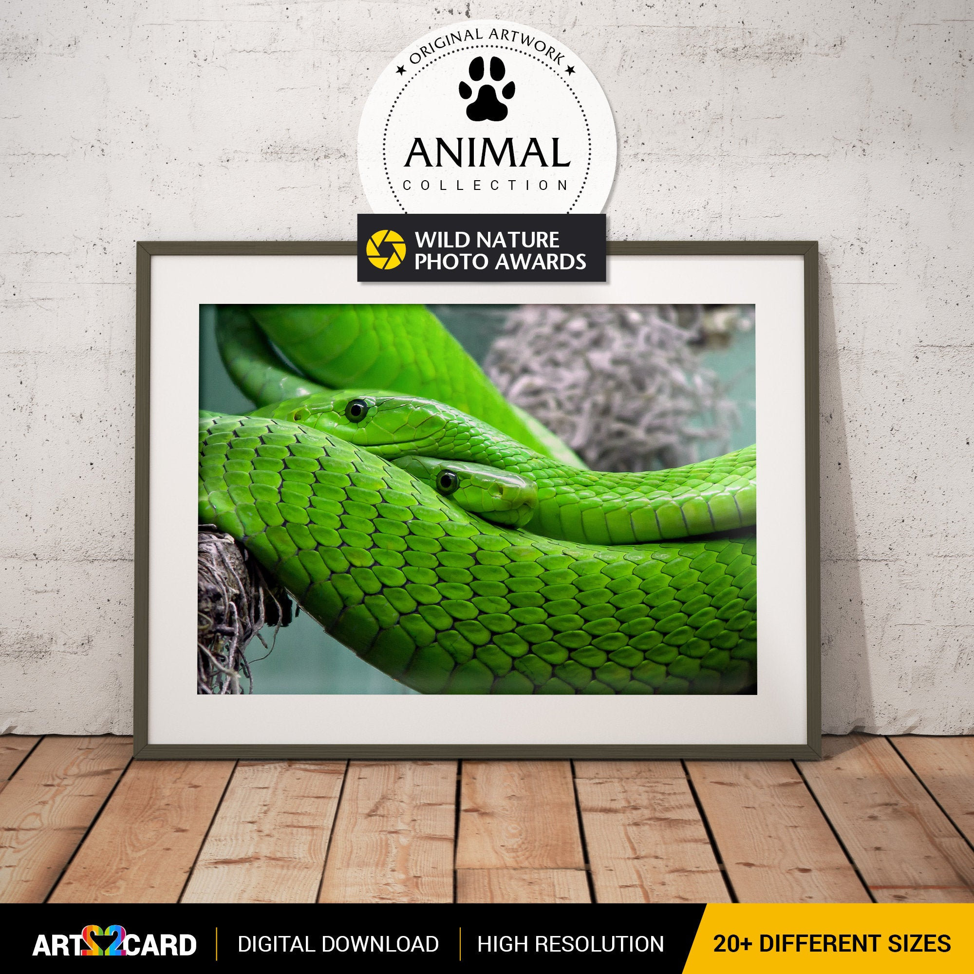 Snake Animal Digital Download Wall Art Print Printable Room Large ...