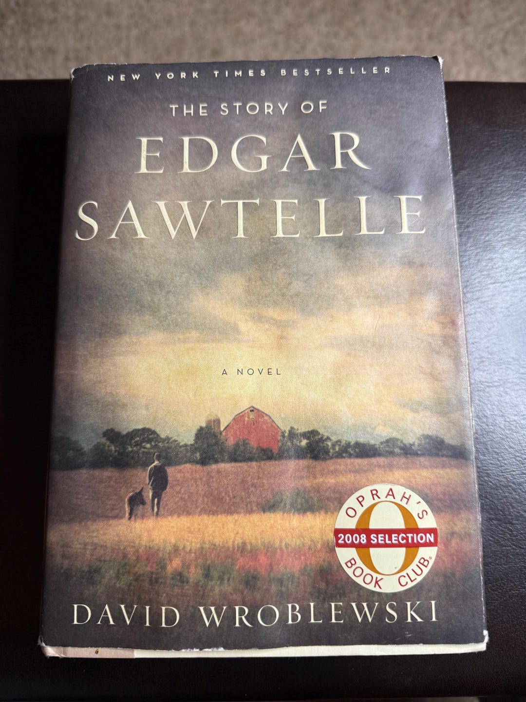 The Story of Edgar Sawtelle - Etsy