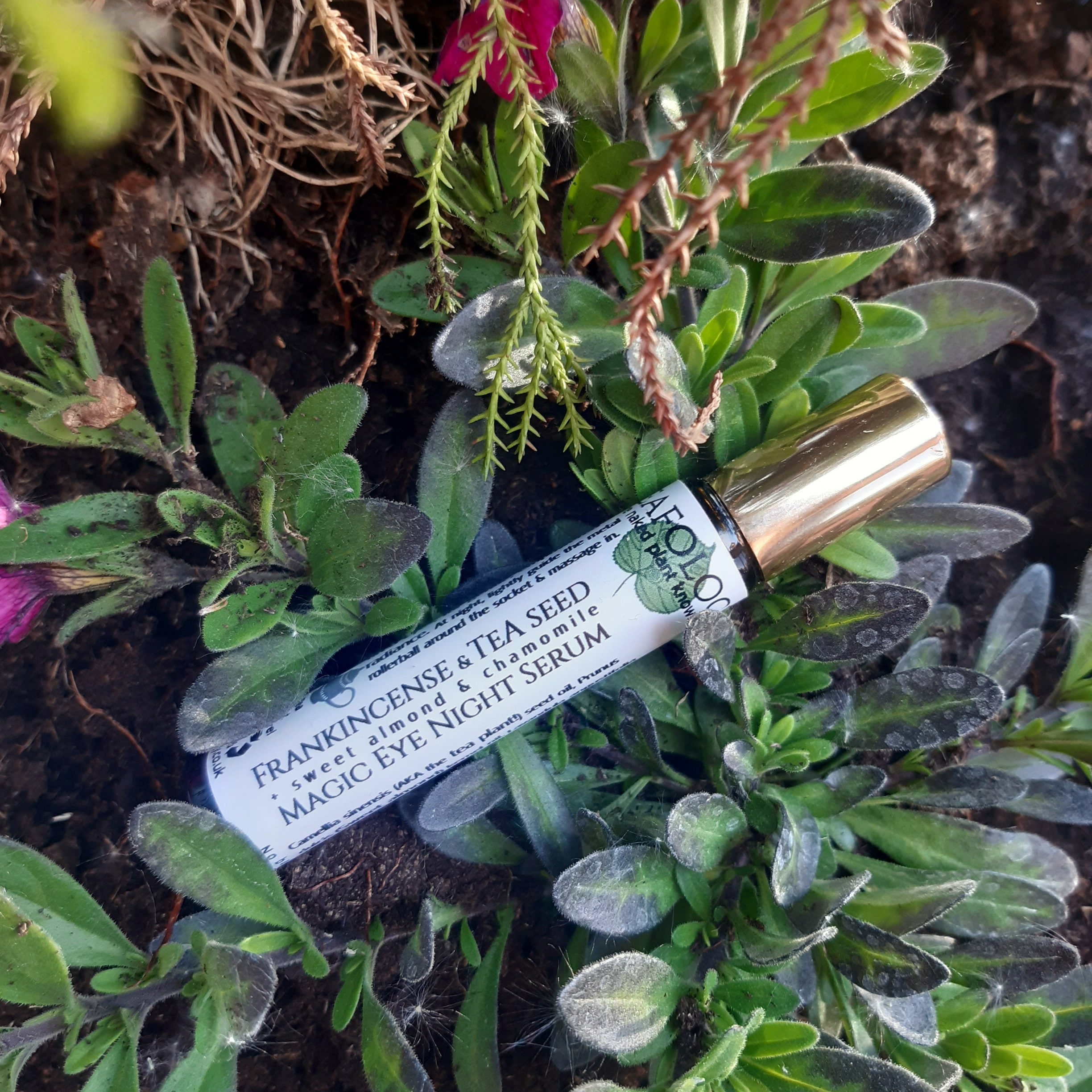Frankincense & Tea Seed Magic Eye Night Serum with Sweet Almond and ...