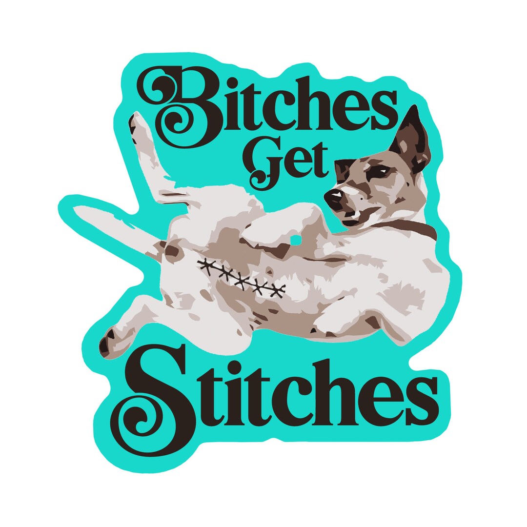 Bitches Get Stitches Spay-themed VINYL STICKERS \ Laptop Stickers ...
