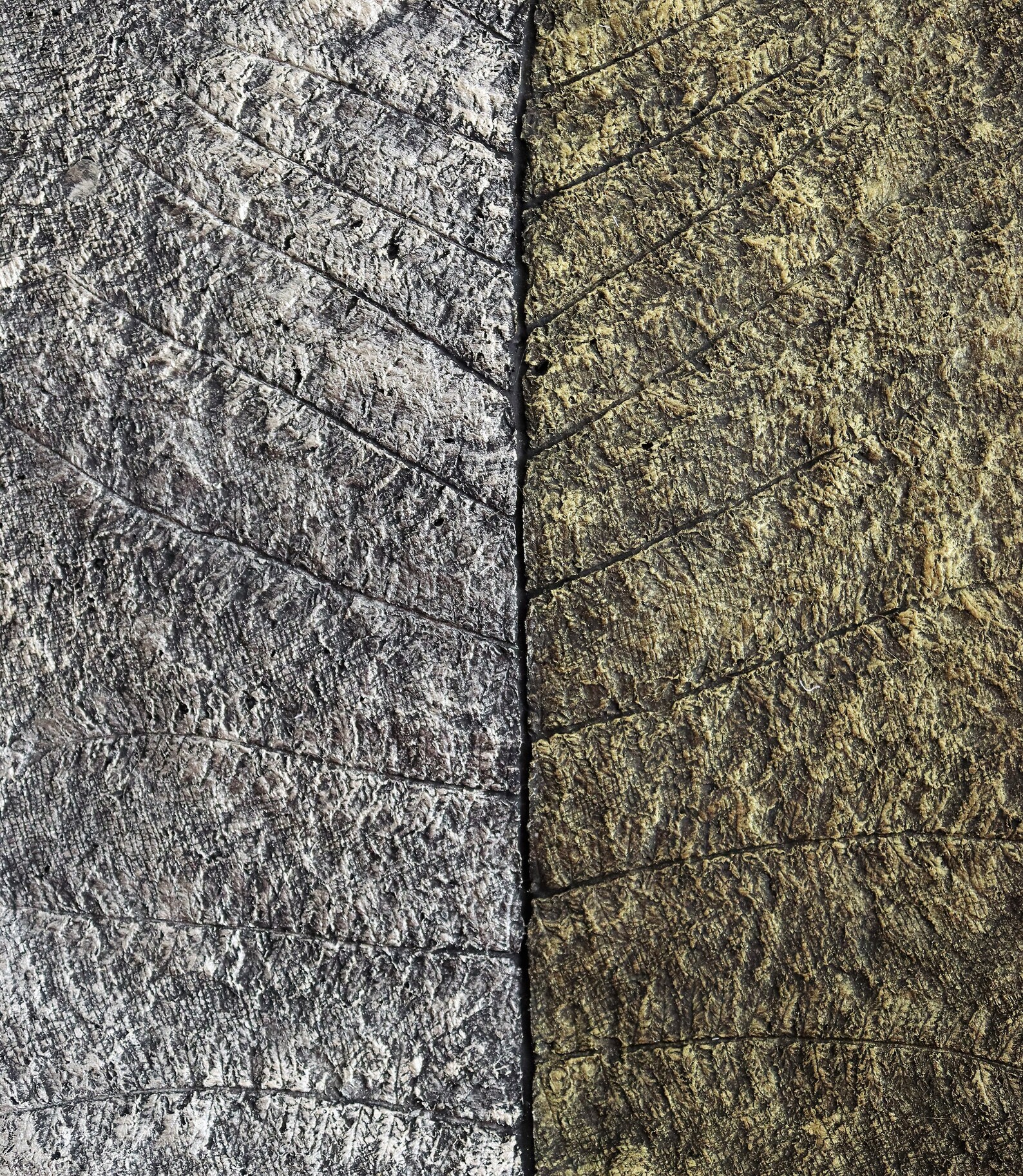 Decorative Paper Mache Wall Plate With Fern in Silver and Gold ...