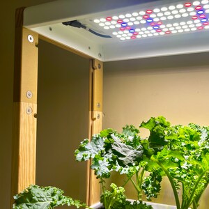 Shelf Risers for Rise Gardens (gen 2) - Etsy