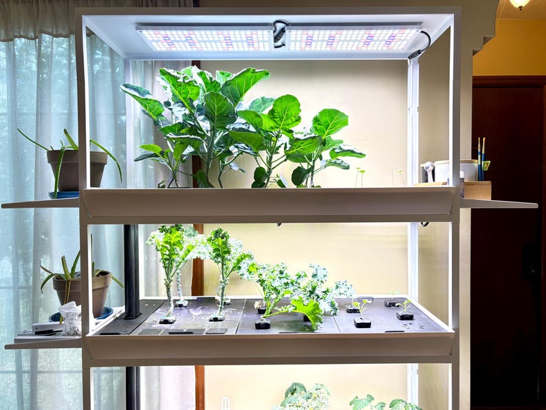 Houseplant Shelf for Rise Gardens (gen 1/2/3) - Etsy