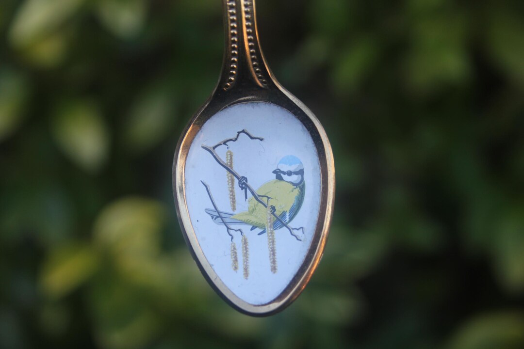 Vintage Spoon Blue Tit Bird Gold Plate Birds Gift Souvenir Spink - Etsy