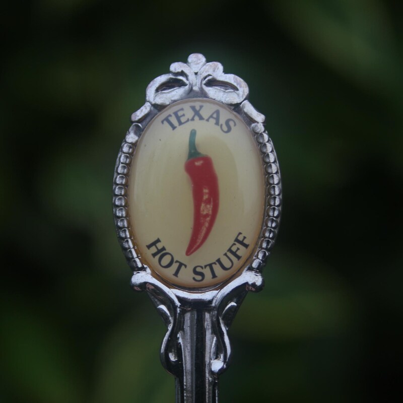 Texas Souvenir Spoon - Etsy
