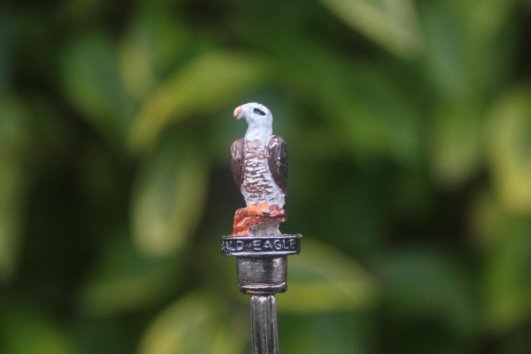 Vintage Spoon Banff Canada Bald Eagle Bird Canadian Souvenir - Etsy