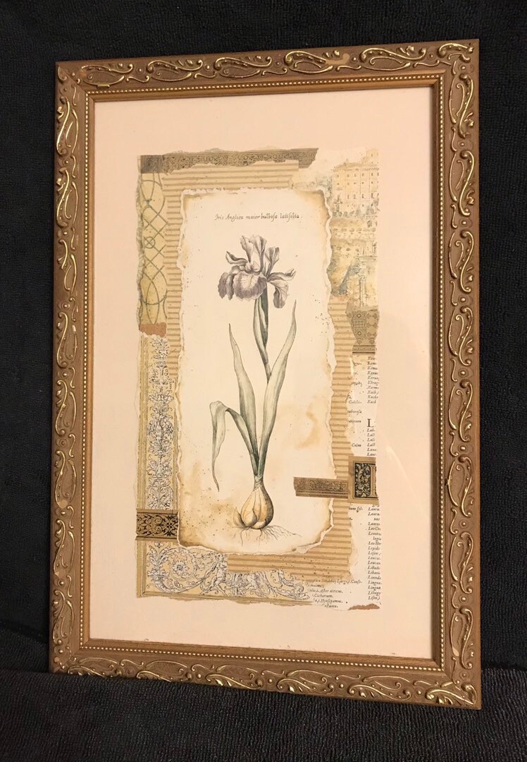 Framed Flower Prints by Pamela Gladding set of Two - Etsy