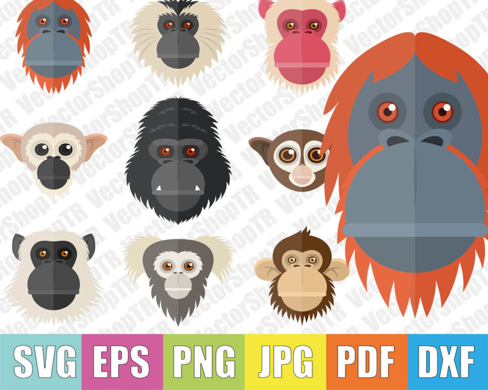 Monkeys Svg, Png, Pdf, Jpg, Eps, Dxf, T-shirt, Clipart - Etsy