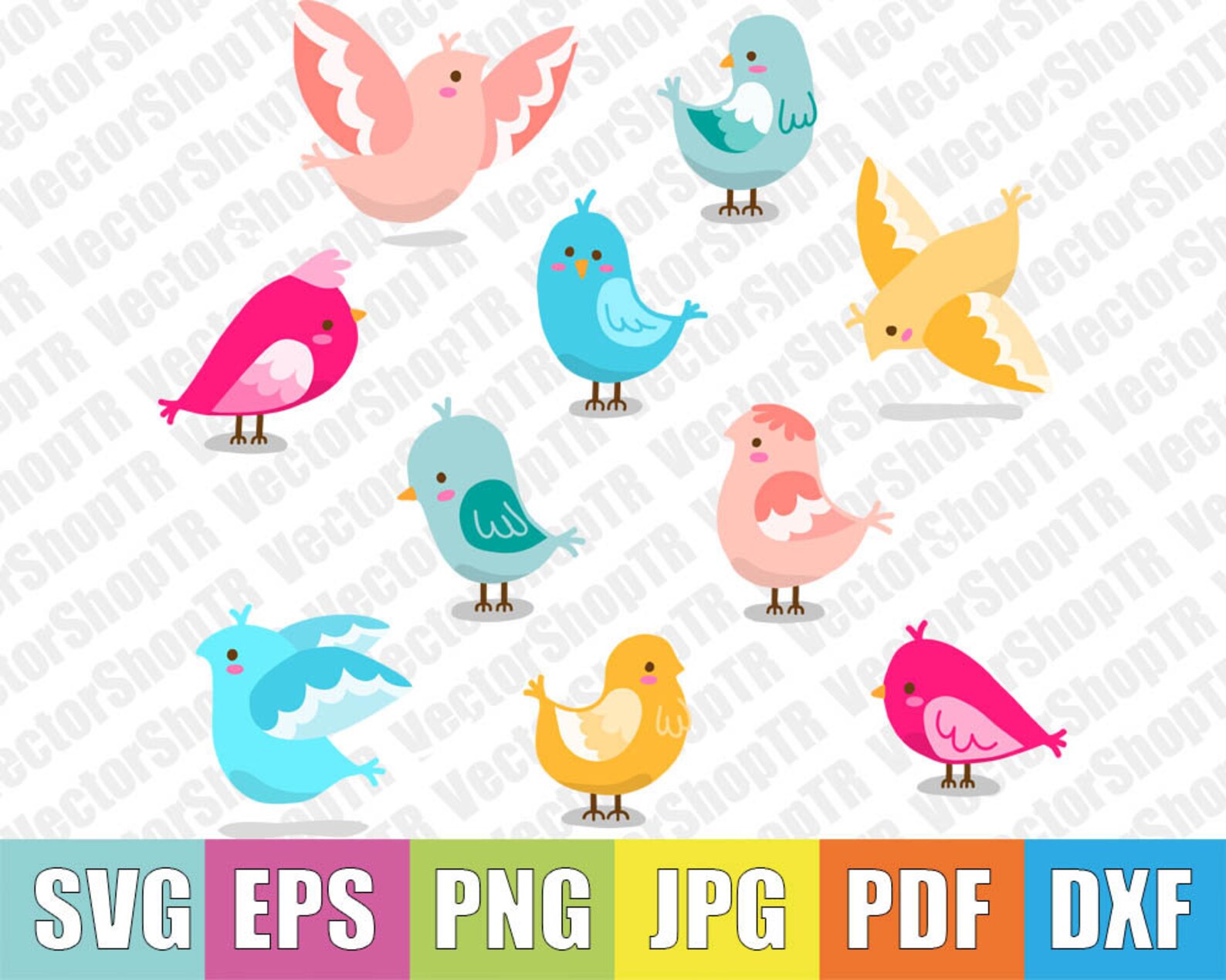 Bird Svg Png Pdf Jpg Eps Dxf T-shirt Clipart - Etsy