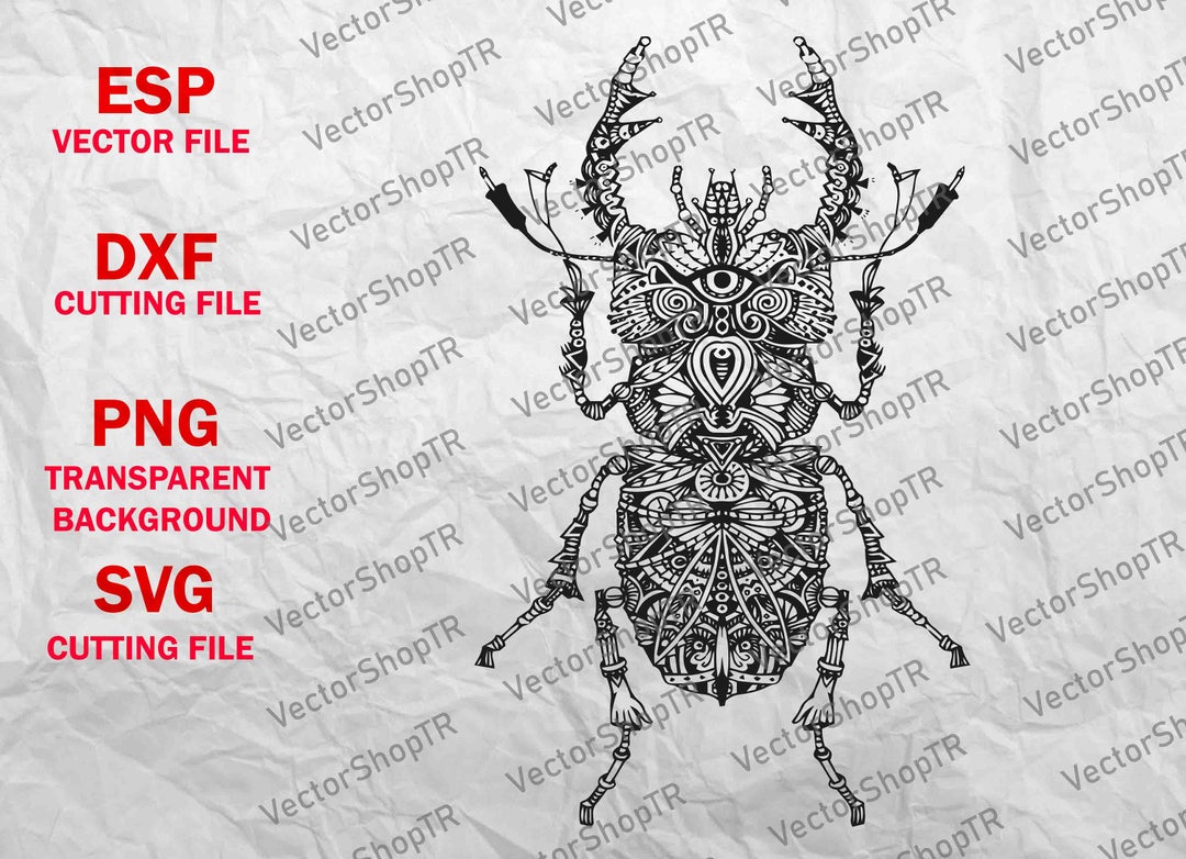 Insect No75 SVG Clipart Esp Dxf Png Mandala Decorative - Etsy Canada