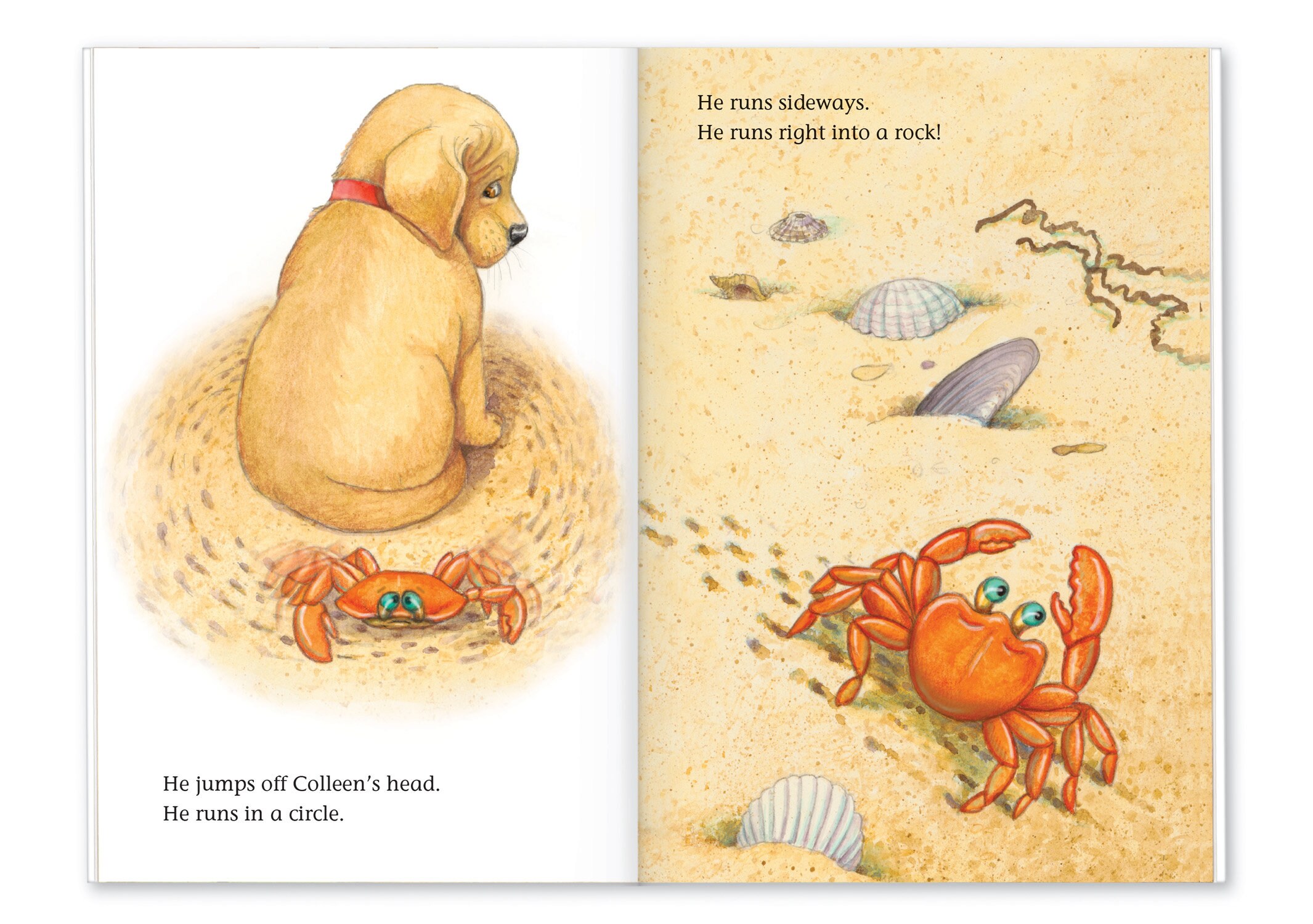 Step Into Reading Level 1 Reader Books Personalized BK550 Etsy step-into-reading-level-1-reader-books-personalized-bk550-etsy