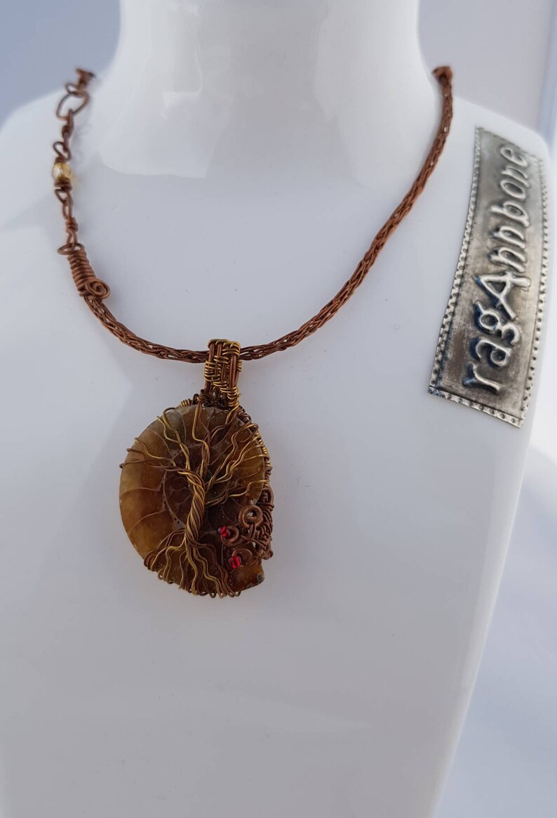 Tree of Life Ammonite Fossil - Etsy