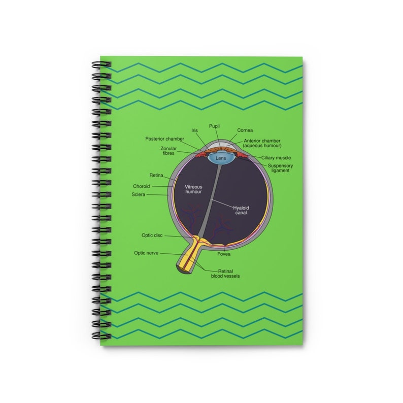 Eye Anatomy Diagram, Eye Anatomy Journal, Optometrist Gift ...