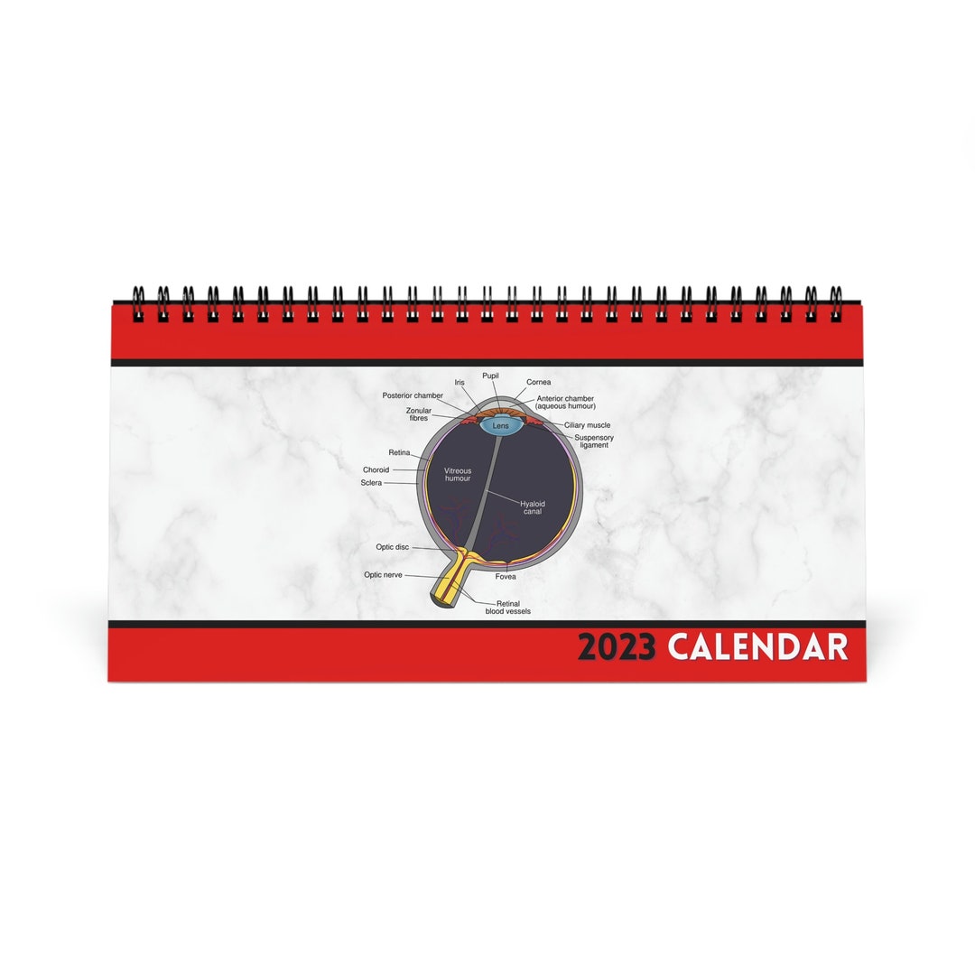 Eye Anatomy Diagram, Optometrist Gift, 2024 Calendar, Ophthalmologist ...