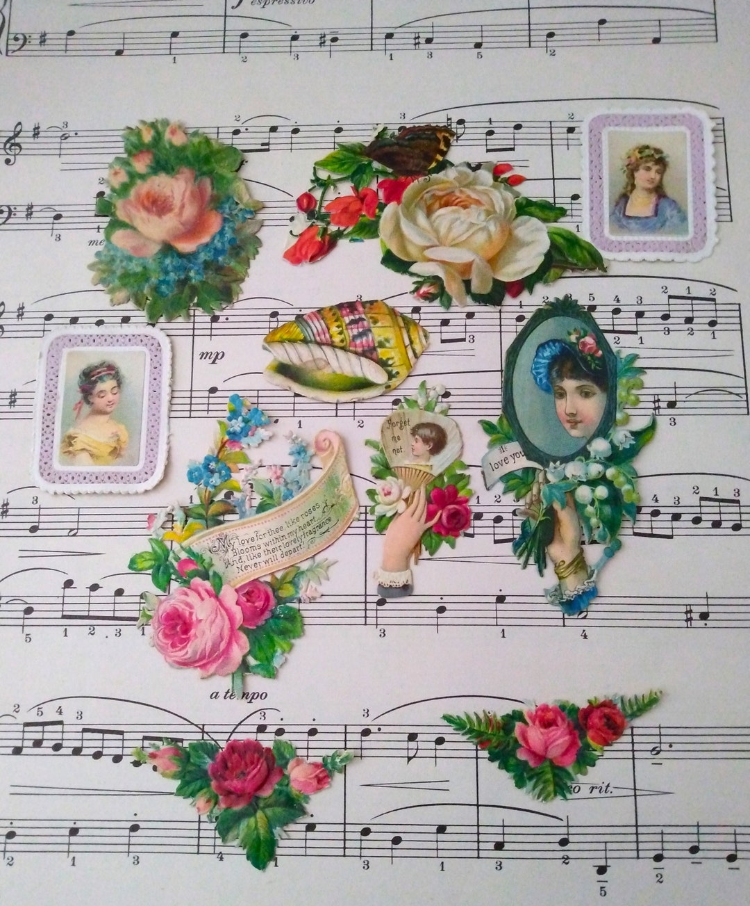 1890s Victorian Die Cut Scrap Ladies & Floral Scrap Lot of 10 - Etsy