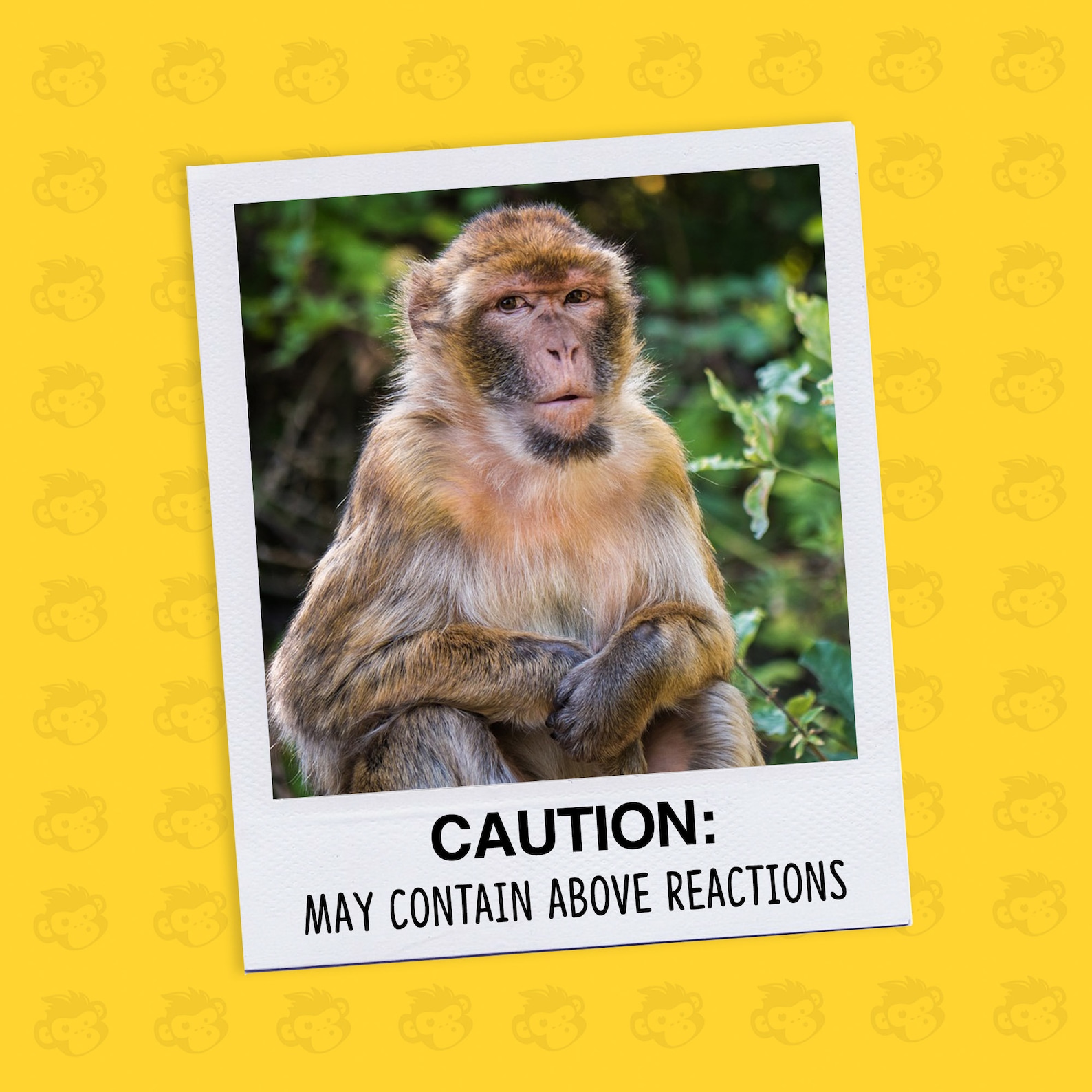 Funny & Rude Poo Poo Head Gift Mug Office Mugs Work Mugs | Etsy