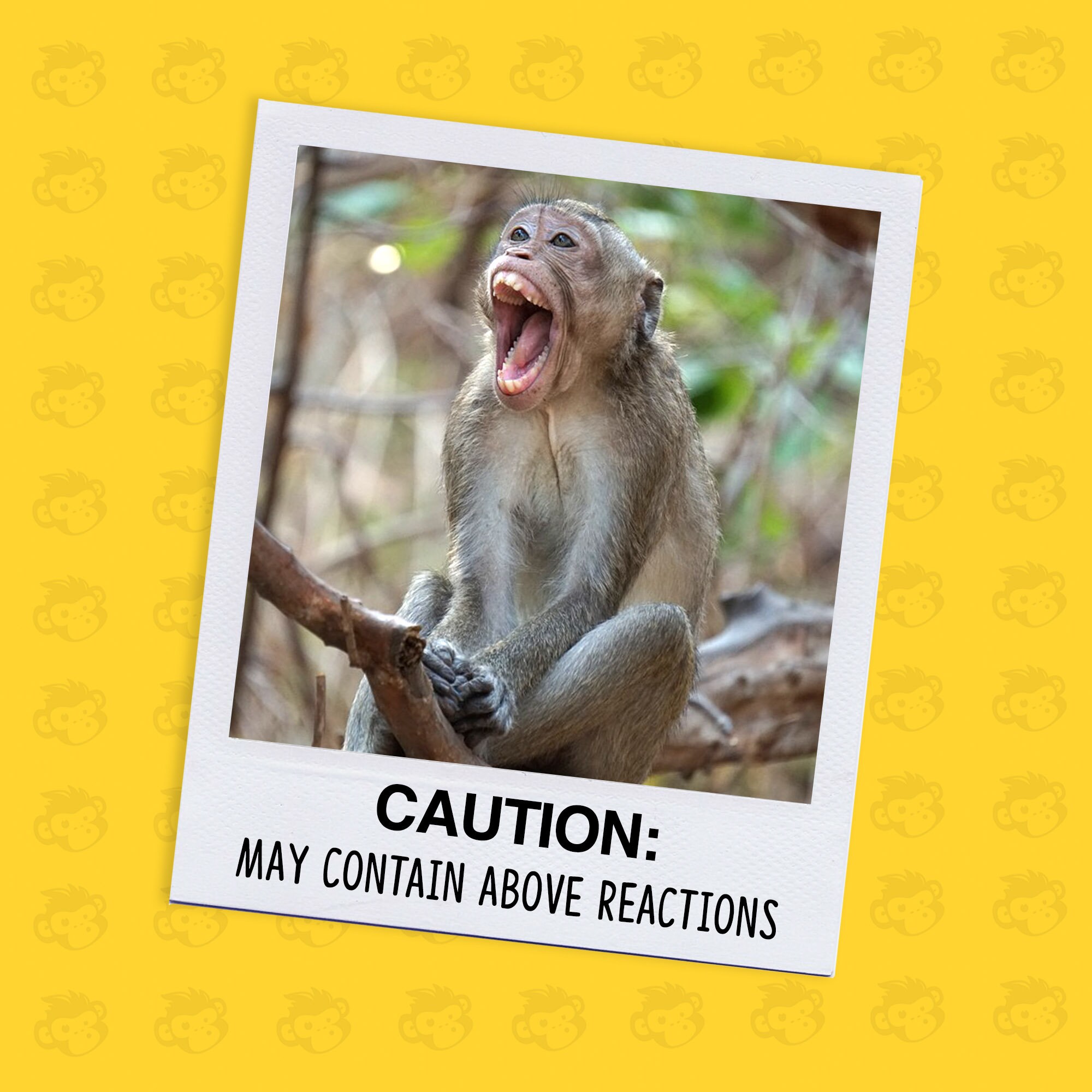 Funny & Rude Gift Mug for Birthdays, Office Mugs, Coffee Cups, LOL ...