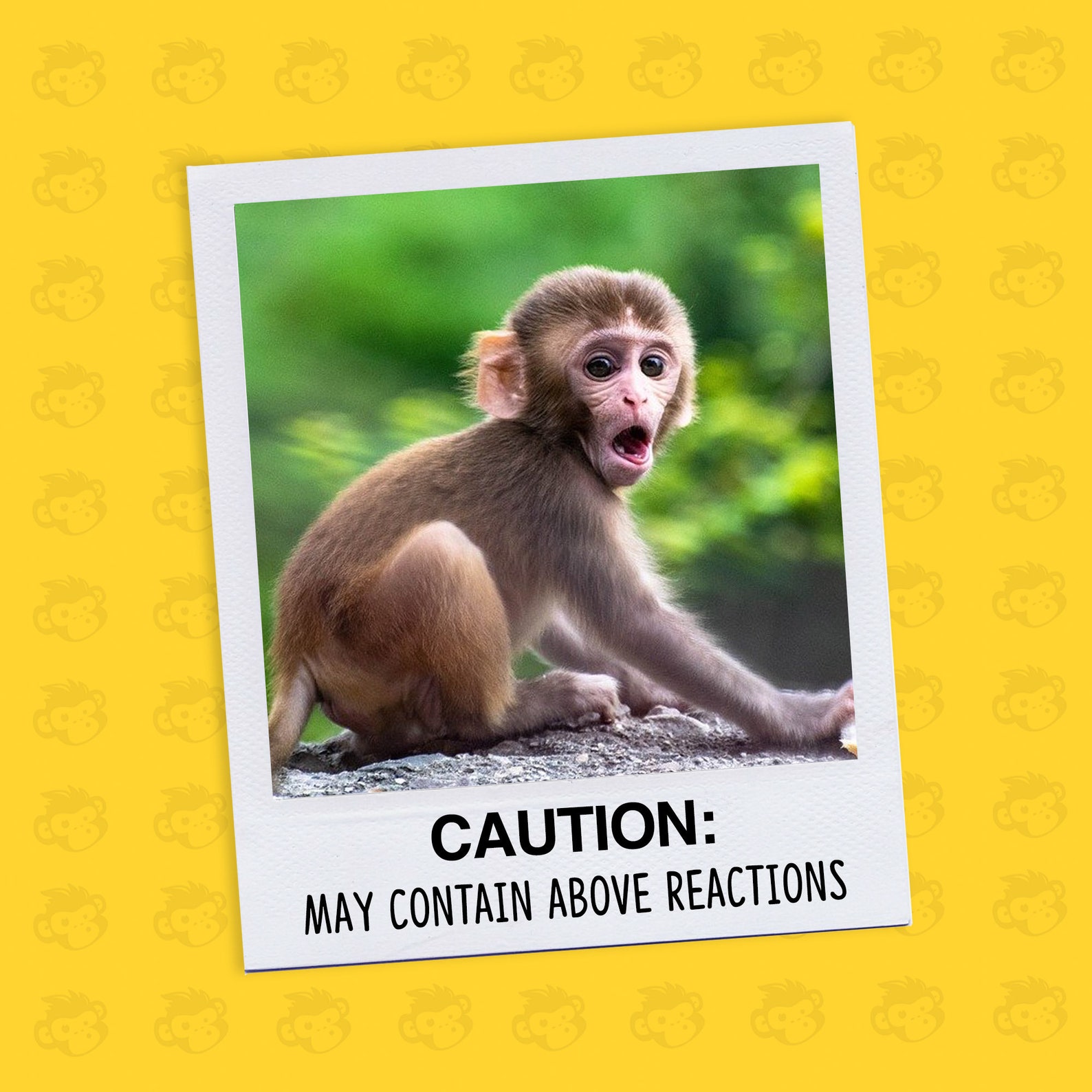 Funny & Rude Piss Flaps Gift Mug for Birthdays Christmas - Etsy UK